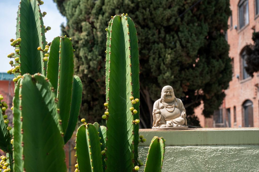 Zen Meditation Classes – Zen Center of Los Angeles